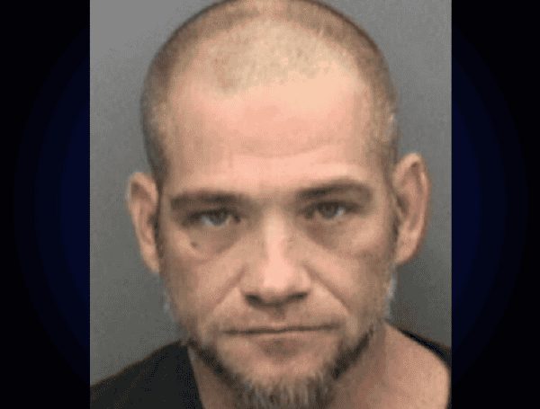 Hillsborough County Detectives Seek Public’s Help In Locating Burglary ... Hillsborough County Detectives Seek Public’s Help In Locating Burglary ...