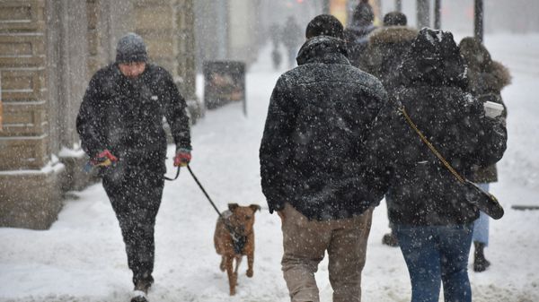Ontario's weather forecast says three snowstorms in a row are bringing ...