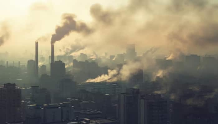 Microbes That Clean Our Air: Researchers Uncover Key Role In Reducing Deadly Carbon ...