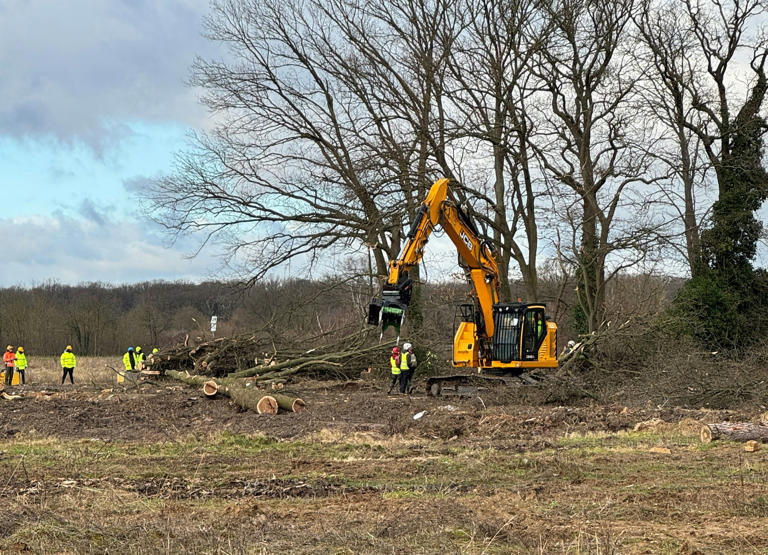 Hambacher Forst: Polizei beginnt mit der Räumung des Sündenwäldchens in ...