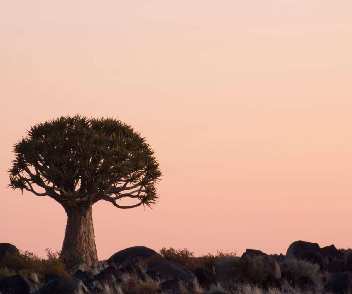 Four quirky small towns worth visiting in the magical Karoo