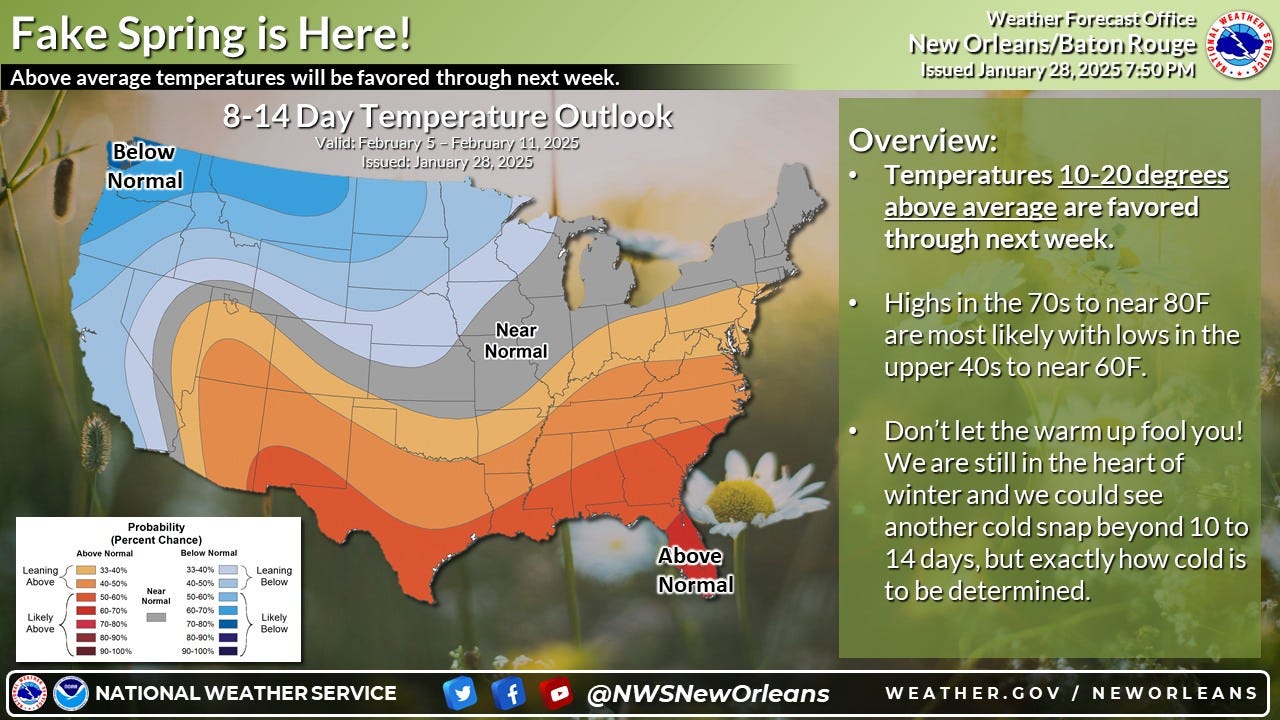 "Fake Spring" on tap for Louisiana
