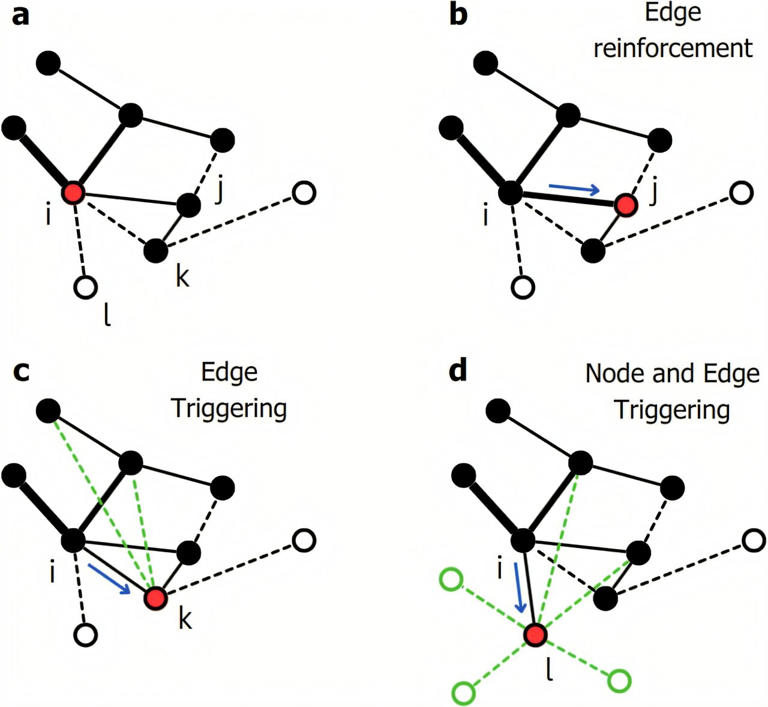 Scientists map the mathematics behind how we create and innovate