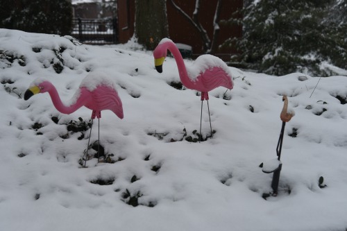 14 Outrageous HOA Rules That Just Made National Attention