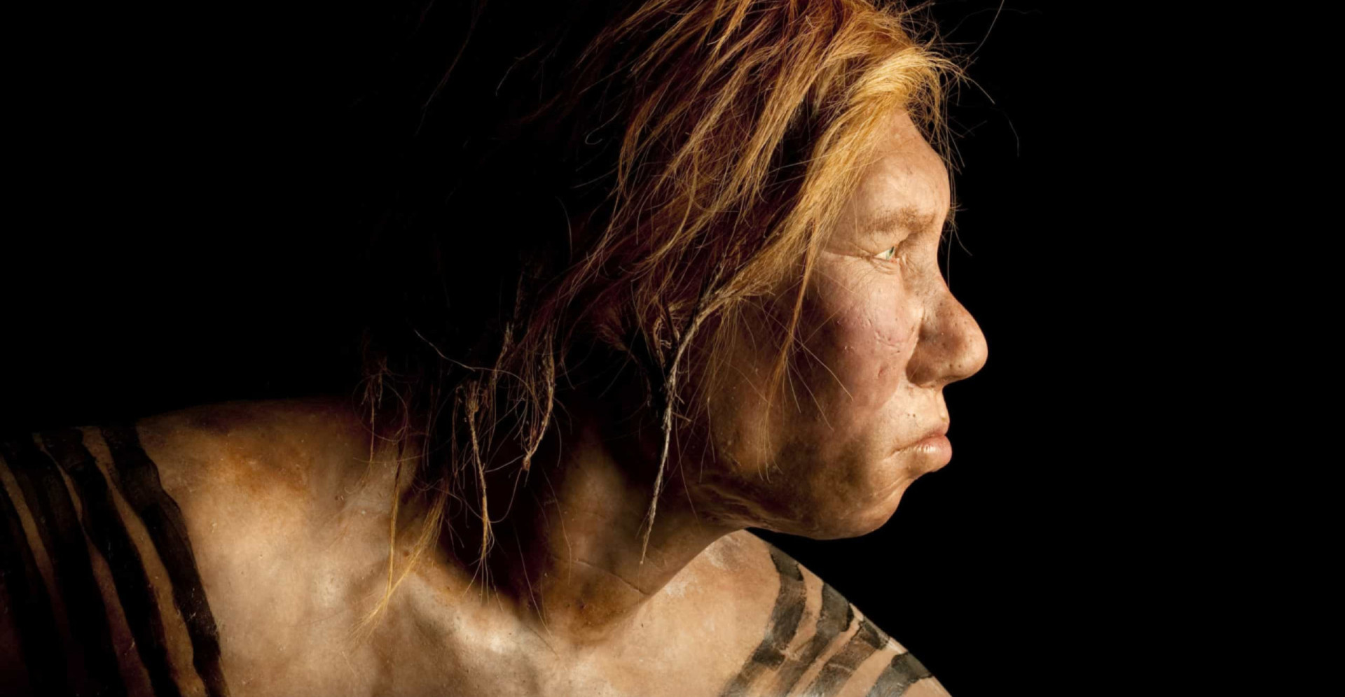 Extinct human species: how different were they from us?