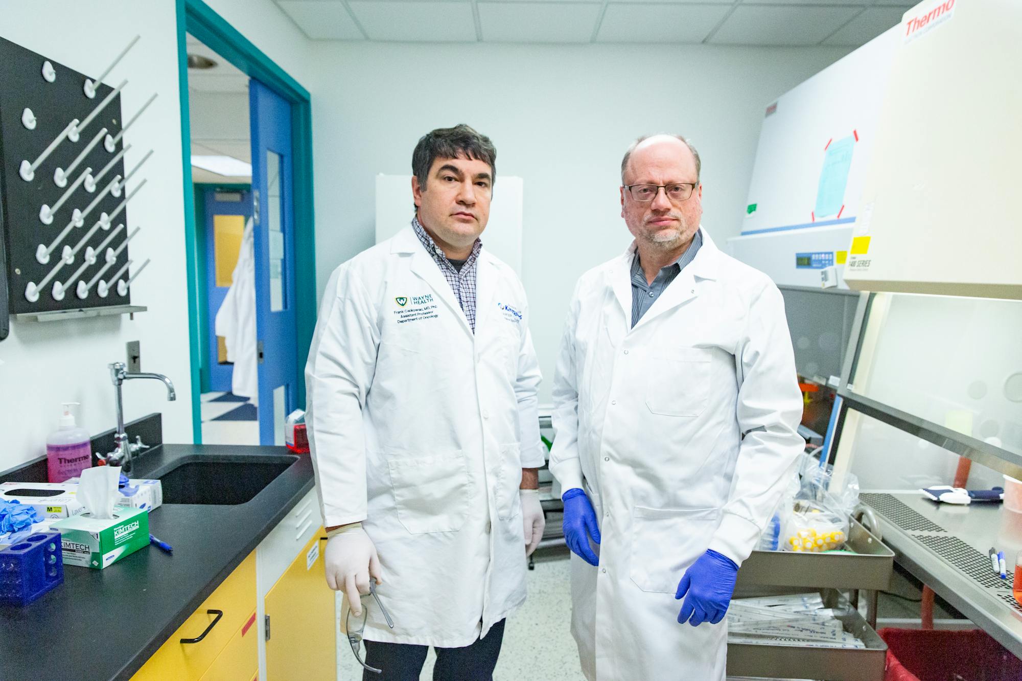 Fake papers are contaminating the world’s scientific literature ...