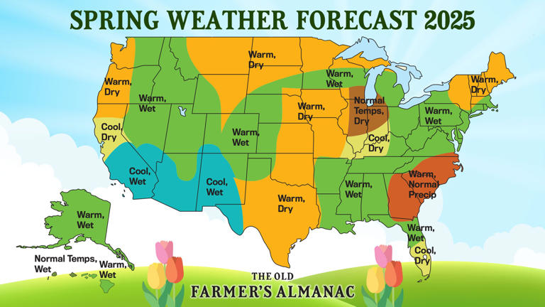 Here's what two different forecast models predict for spring 2025 in ...