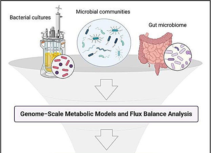 Research highlights power of metabolic modeling to generate ...