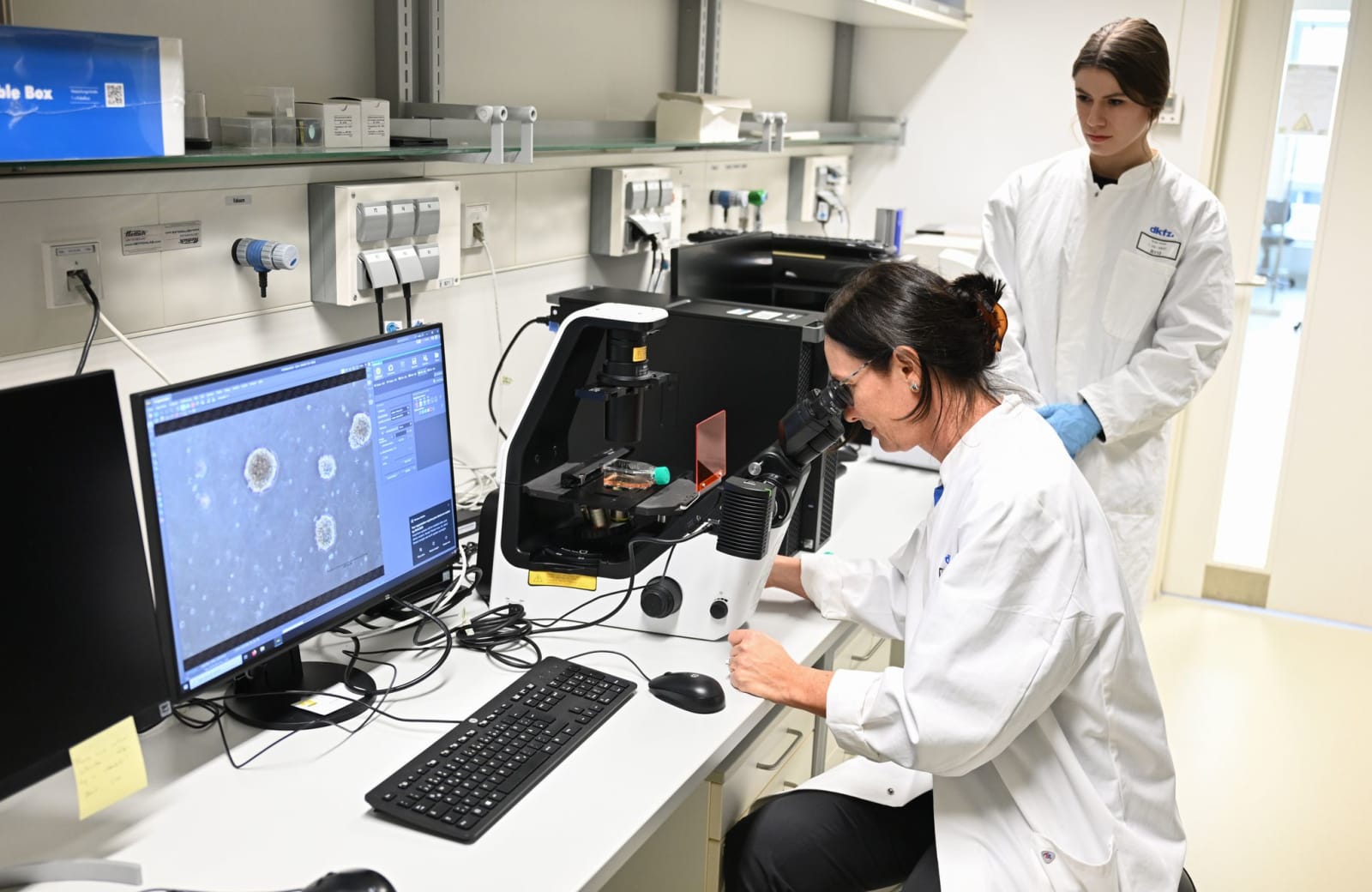 German scientists grow mini-tumours to help youngsters beat cancer