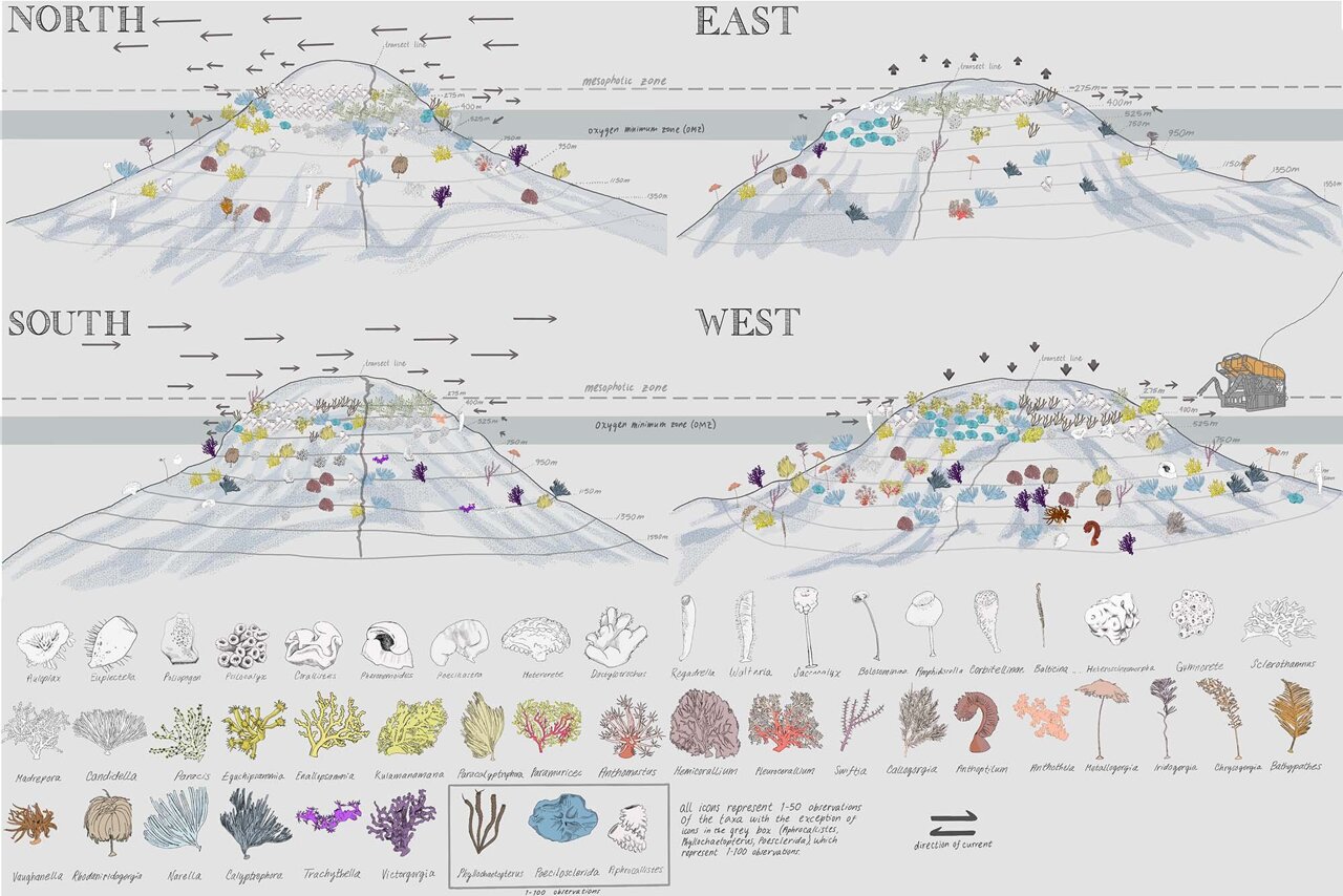 Art meets science: See the first detailed illustration of an ancient ...