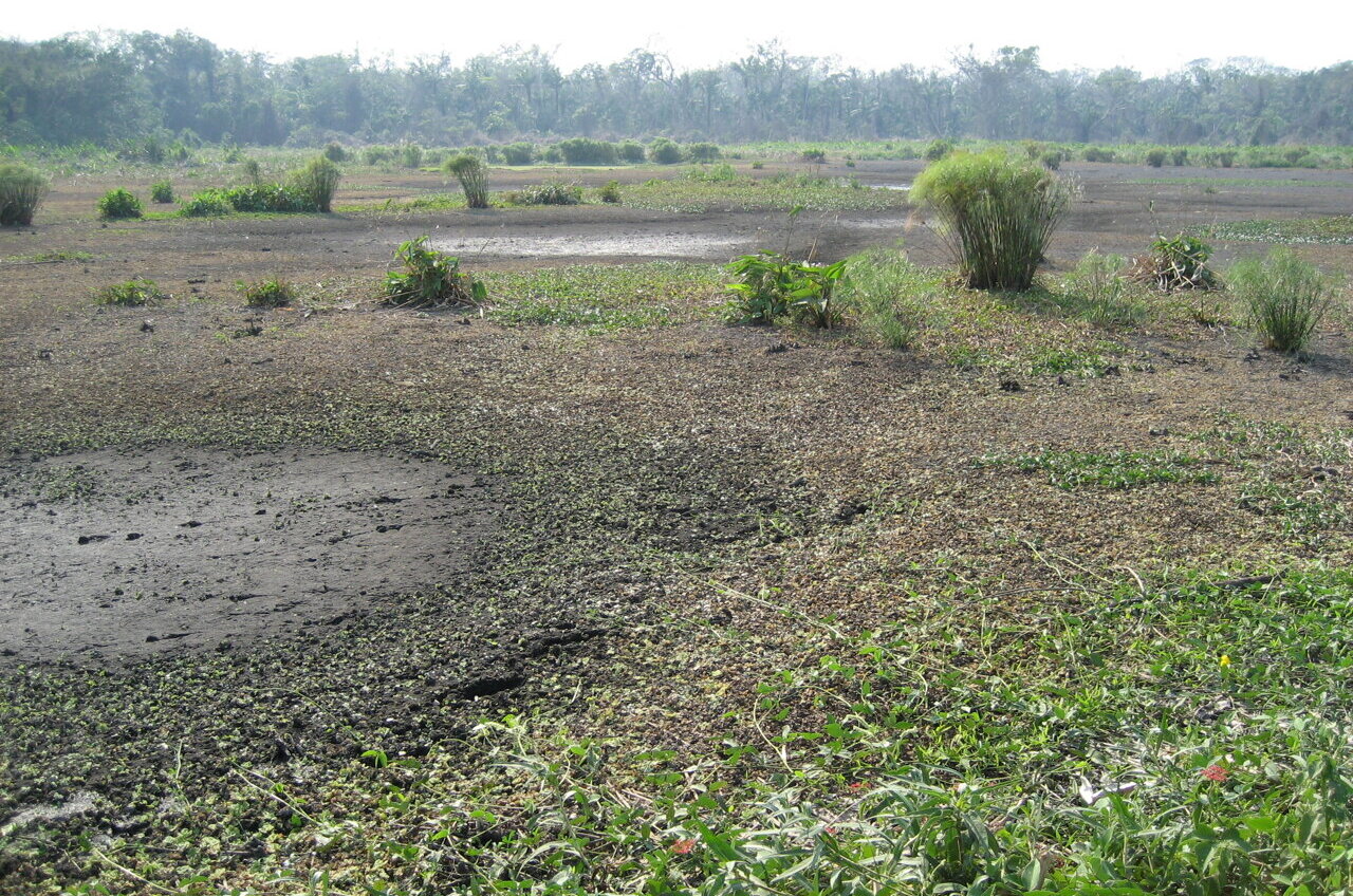 Discovery of a unique drainage and irrigation system that gave way to ...