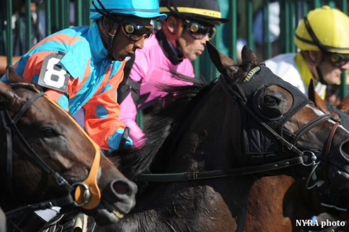 Jockey Mount Fees Increased At NYRA Racetracks