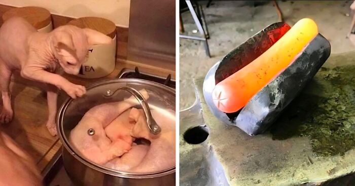 This Page Is All About Cursed Images, And Here’s 33 Of The Most ...