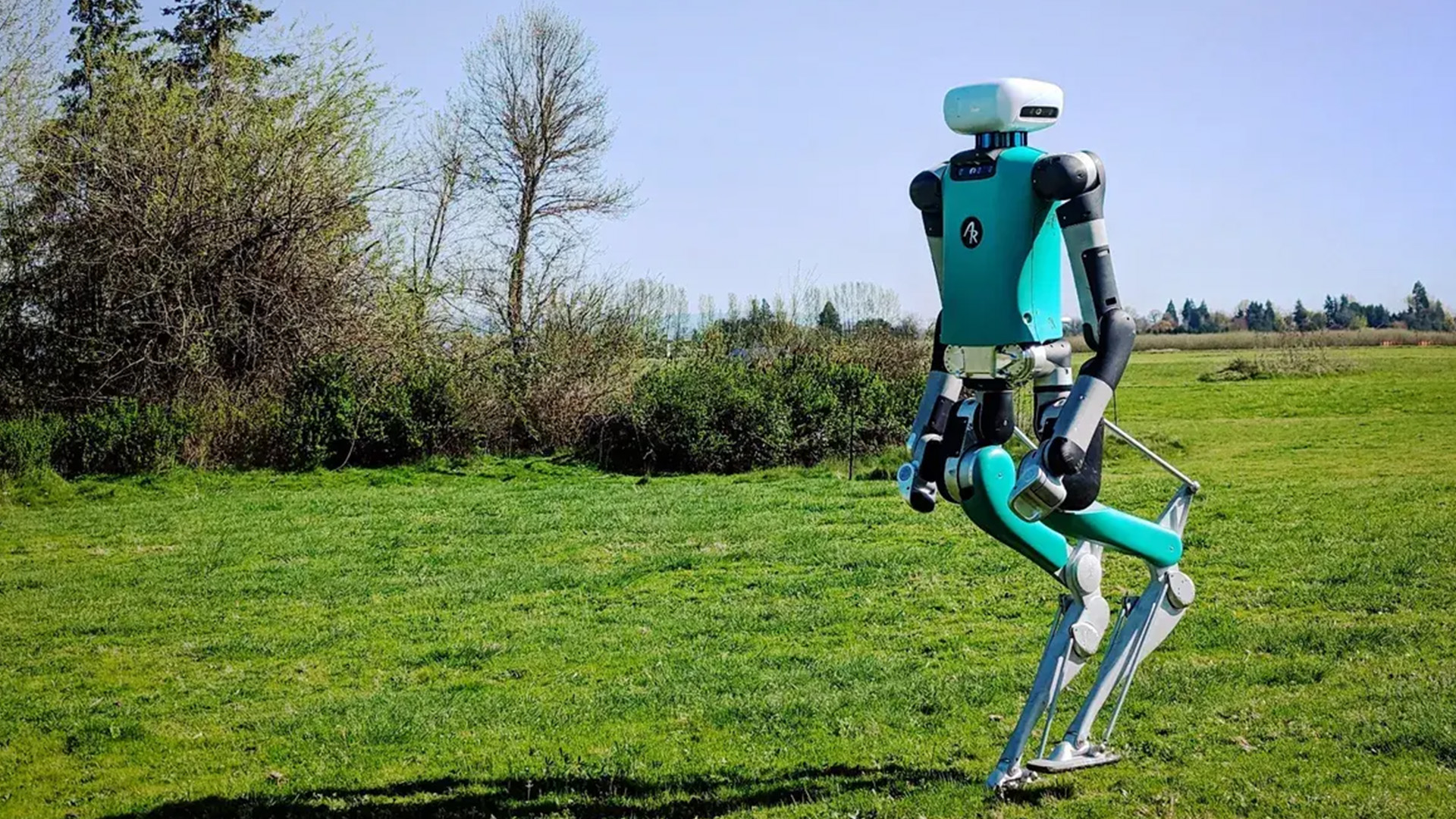 Inside the World’s First Humanoid Robot Factory