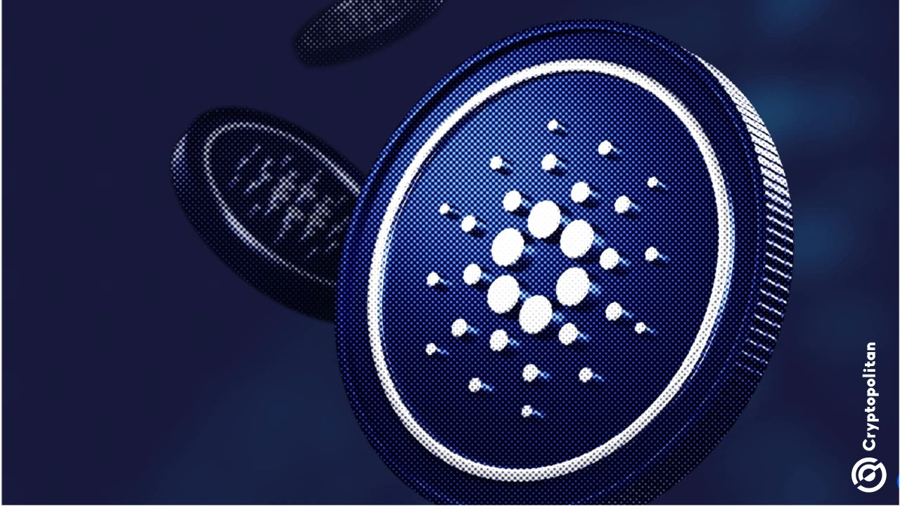 Cardano to launch Plomin Hard Fork, ADA holders have voting power