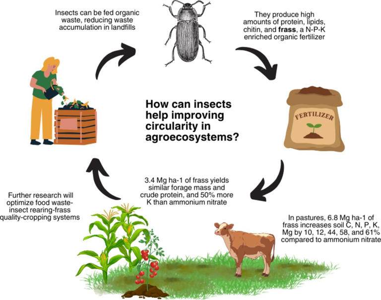 No waste left behind: Insect droppings can improve soil fertility