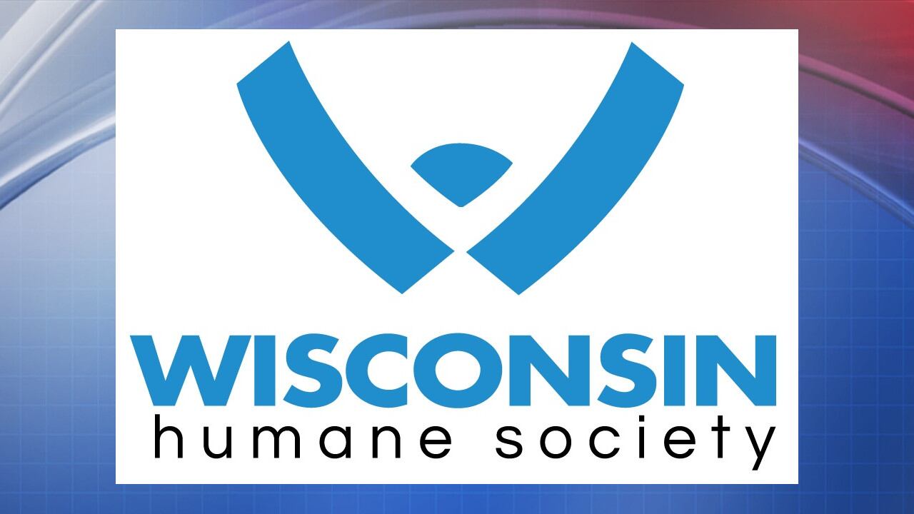 Wisconsin Humane Society helps remove over 70 cats from Ozaukee County home