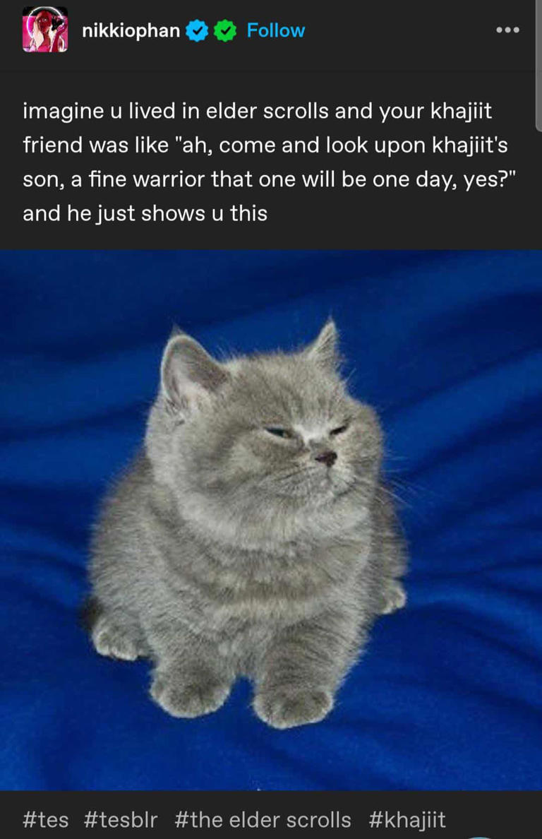 40+ Funniest Tumblr Memes That Made Us Laugh And Think This Month ...