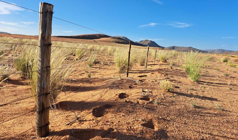 Karoo Dust Bowl (Part III) — drought-battered Richtersveld farmers fear ...