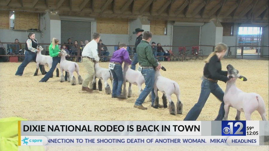 60th Annual Dixie National Livestock Show and Rodeo events underway