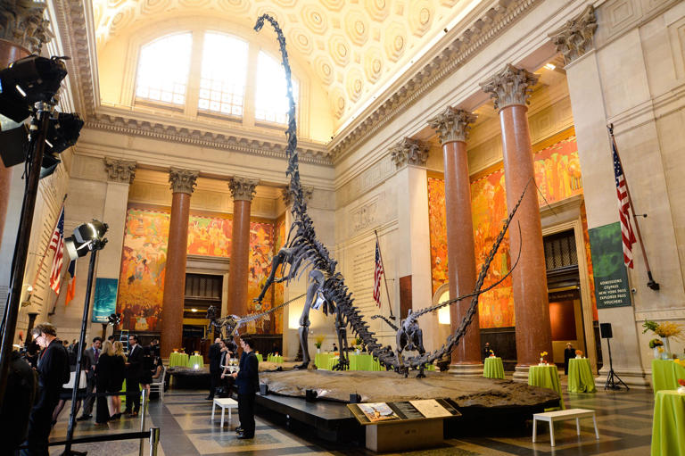 7 Best Science Museums In NYC