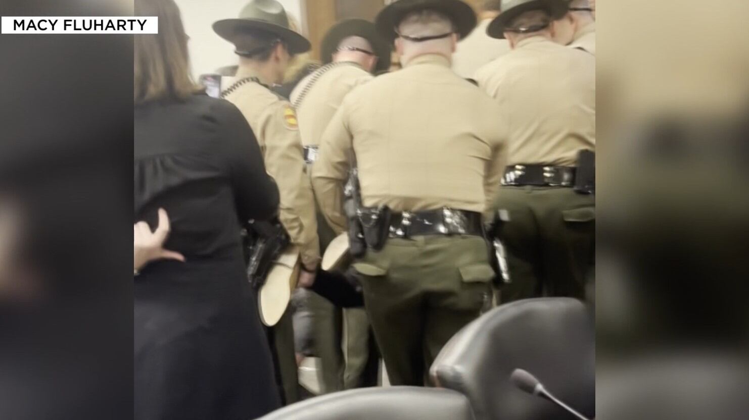 Protestors carried out by THP troopers from TN legislative hearing on ...