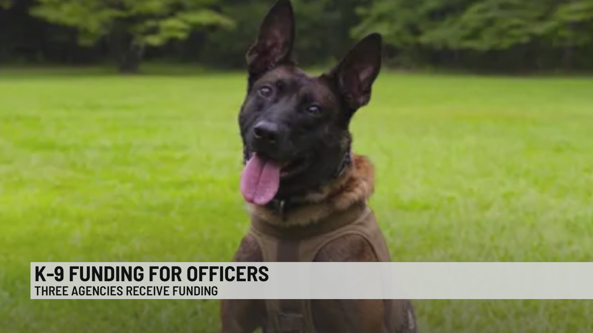 Upstate law enforcement receives funding for K-9 divisions