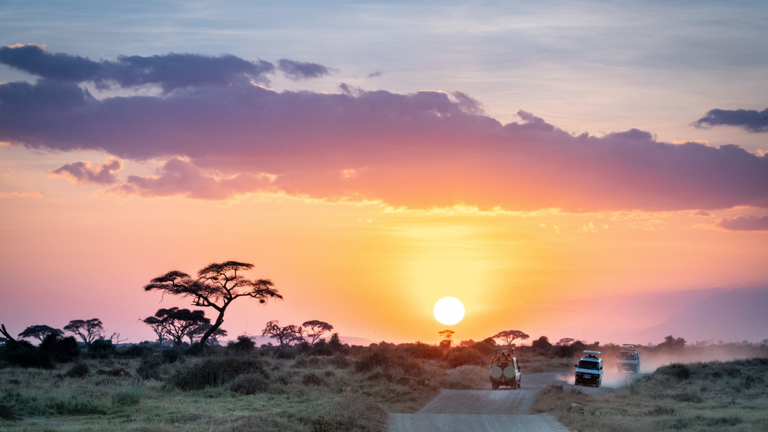 Noctourism drives the night safari travel trend in 2025