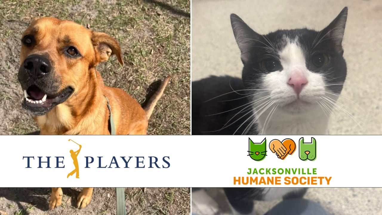 THE PLAYERS hosts free adoption weekend at the Jacksonville Humane Society