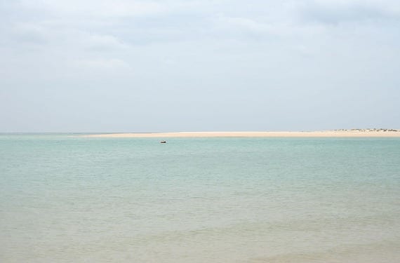 Las Mejores Alternativas Gratuitas para Cálculos Estadísticos: Descubre ...