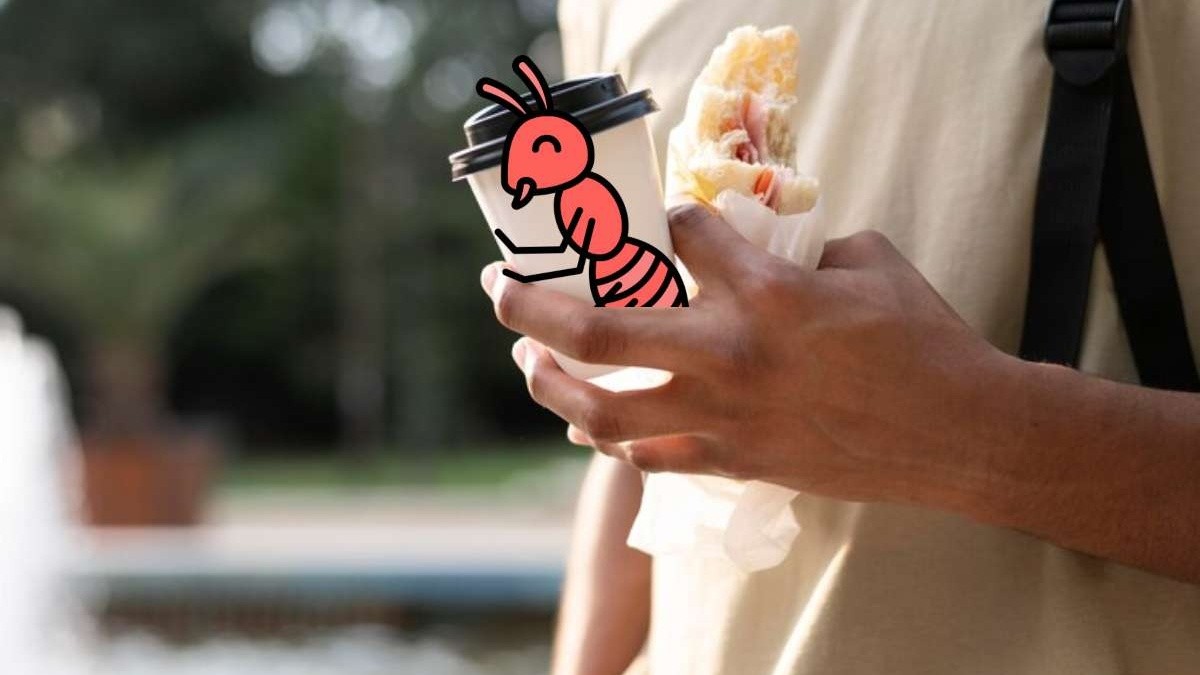 What are the ant expenses that drain your money and how to avoid them?