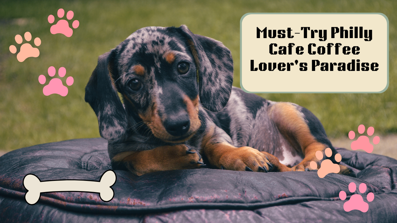 Must-Try Philly Cafe Coffee Lover's Paradise