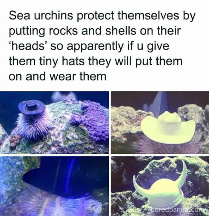 25 Amazing Posts To Make You Feel Better About The World Today (January ...