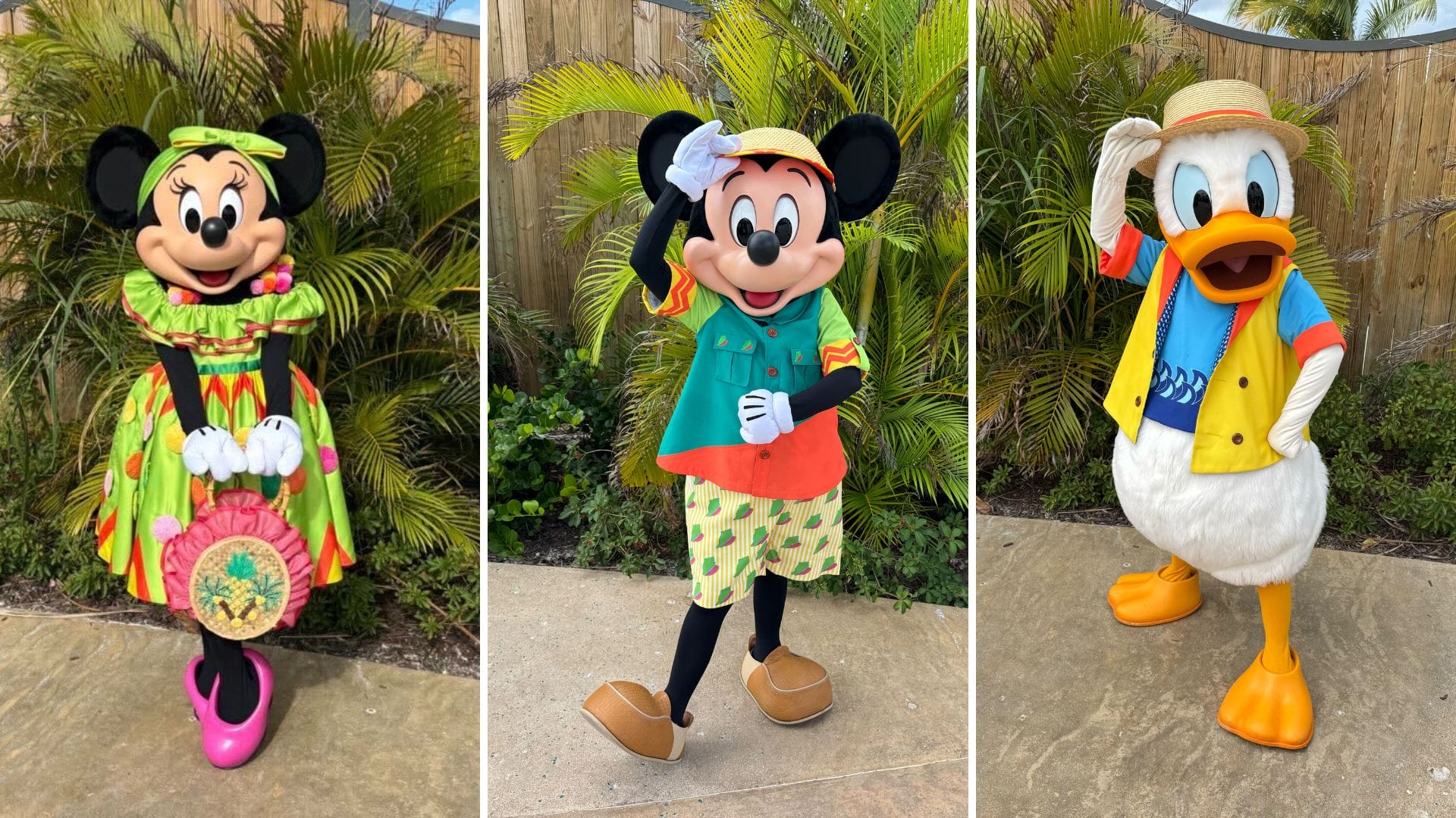 PHOTOS, VIDEO: Full List of Disney Cruise Line Lookout Cay Character ...