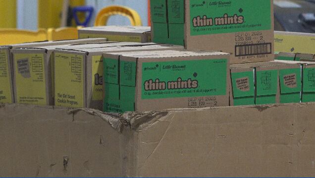 Nearly 4,000 cases of Girl Scout cookies delivered to Fargo Amazon ...