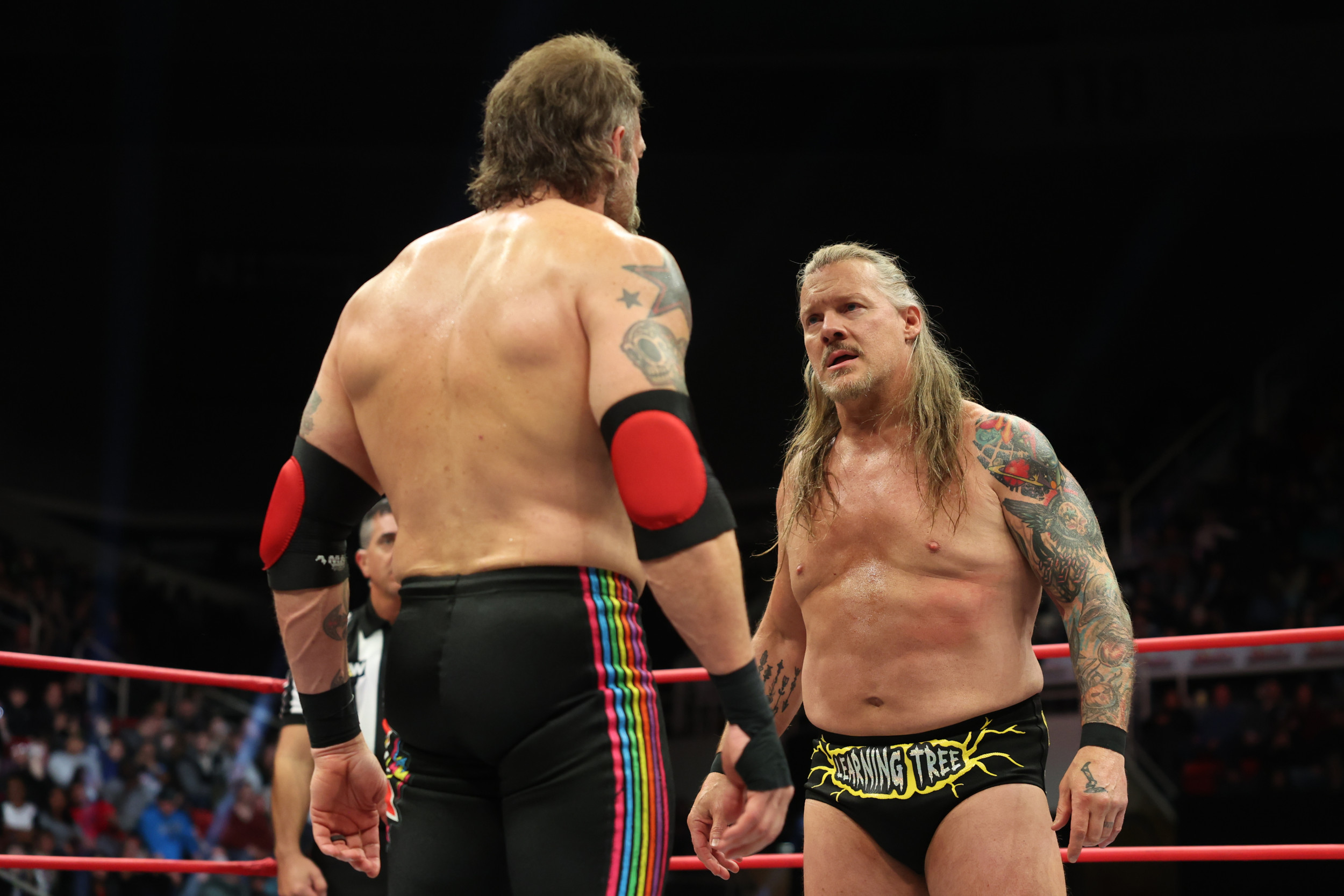 Chris Jericho Says WWE Hall of Fame "Doesn't Matter"
