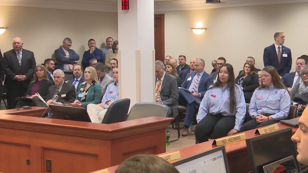 School choice bill draws a crowd at House committee meeting