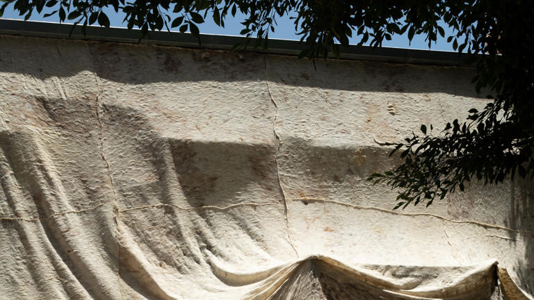 Weekly UAE museum and gallery guide: Anime legacy in Dubai and African ...