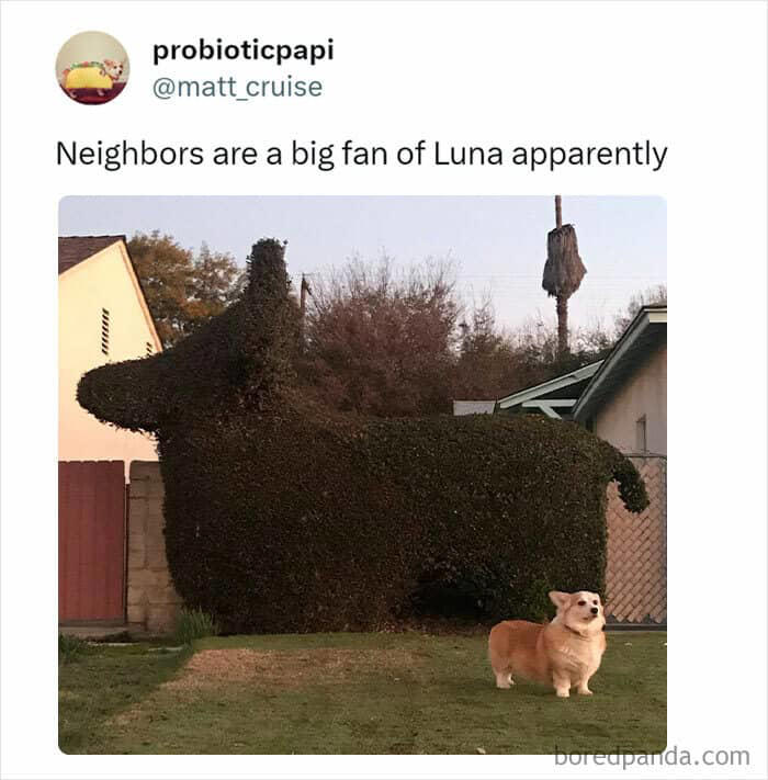 25 Amazing Posts To Make You Feel Better About The World Today (January ...