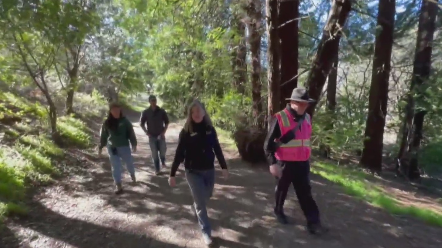 Researchers find new strain of Sudden Oak Death in East Bay