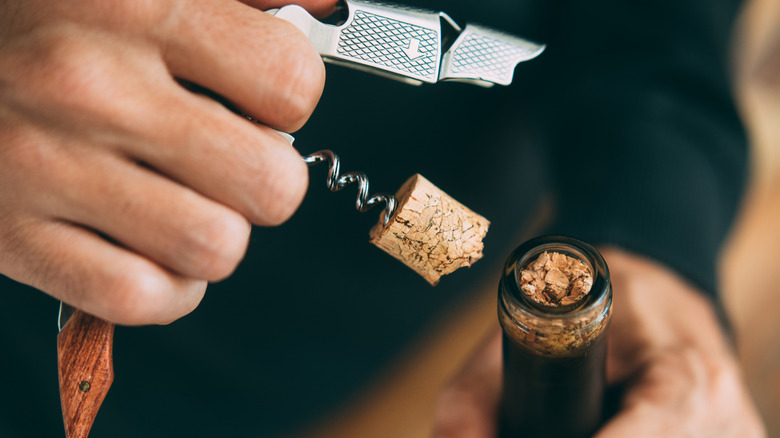 5 Hacks To Get Broken Corks Out Of Wine Bottles