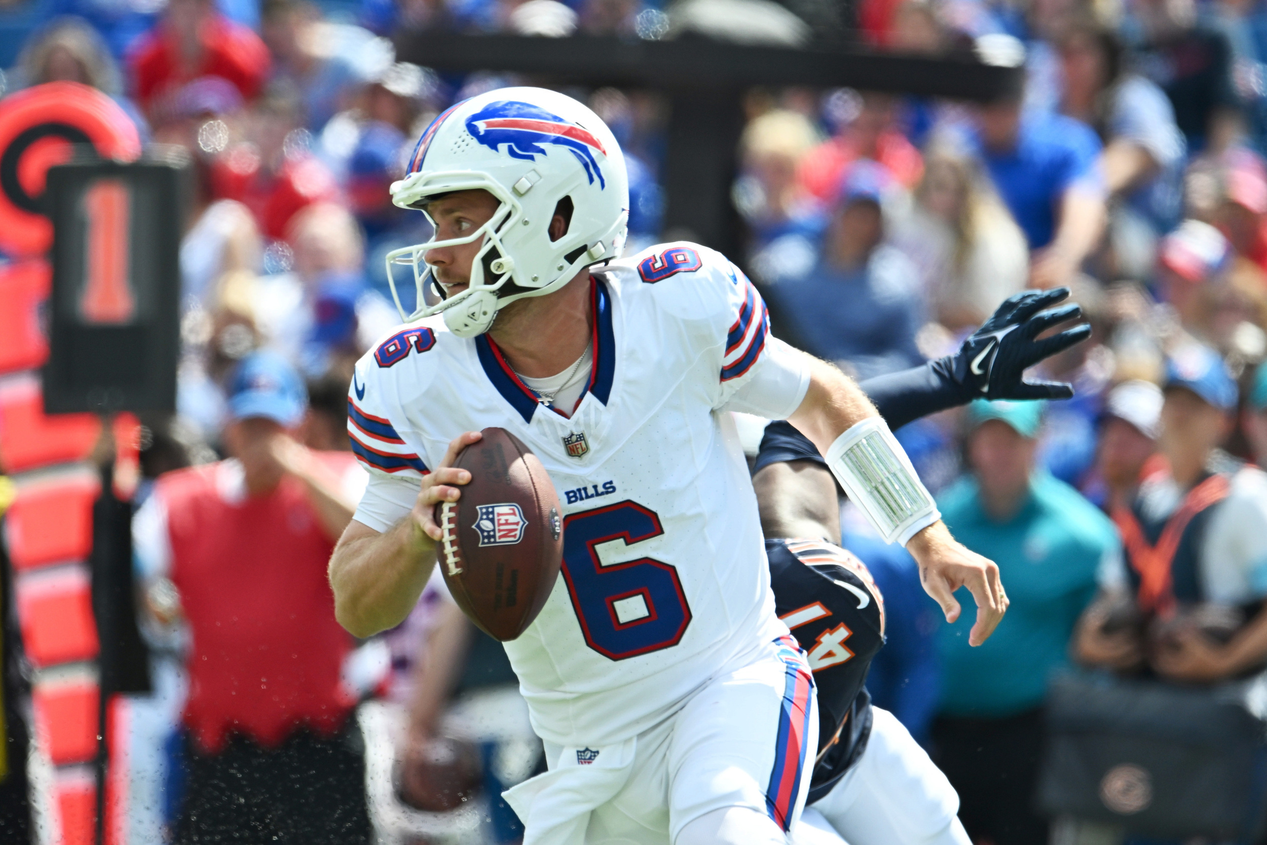 Bills Re-Signed QB Shane Buechele To One-Year Deal, Signed TE Zach Davidson To Futures Deal