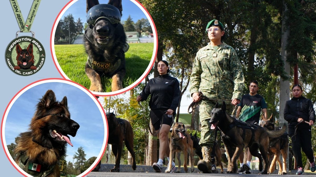 Perrotón 2025: No te pierdas la caminata y la ceremonia de ascenso de ...