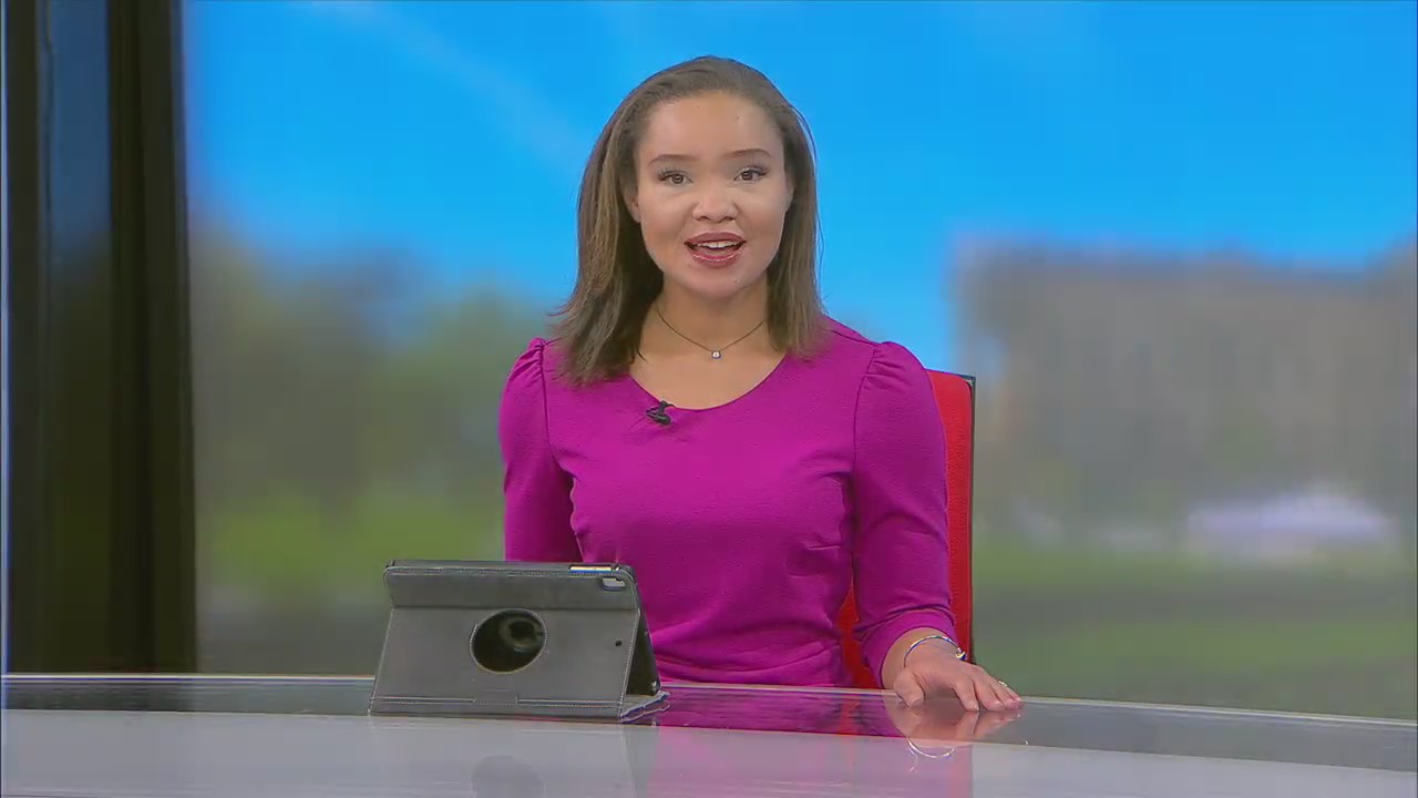 Kansas Children's Discovery Center Kansas Day Celebration