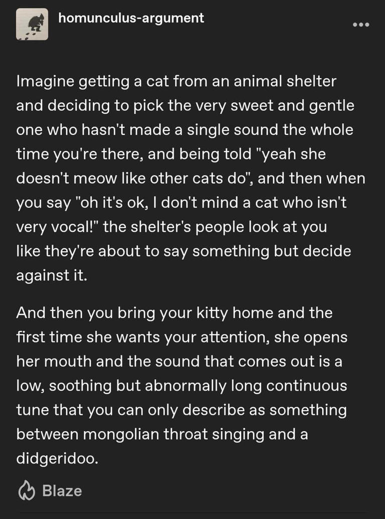 40+ Funniest Tumblr Memes That Made Us Laugh And Think This Month ...