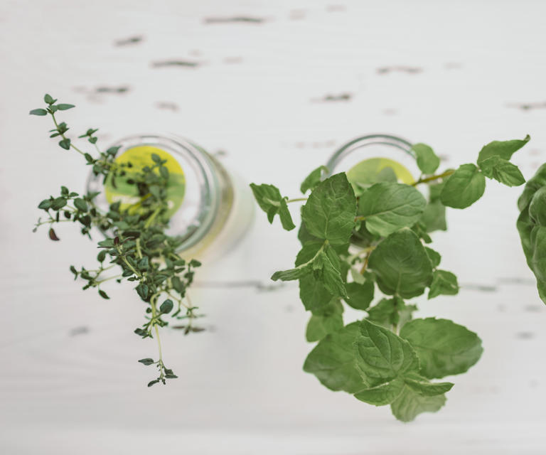 What is the Kratky method? Hydroponic experts say it's the easiest way ...