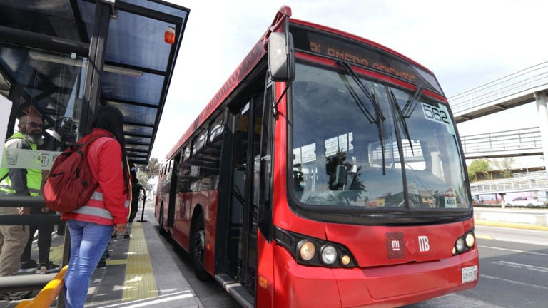 Tourists in São Tomé gather to watch release of 400 baby turtles into ...