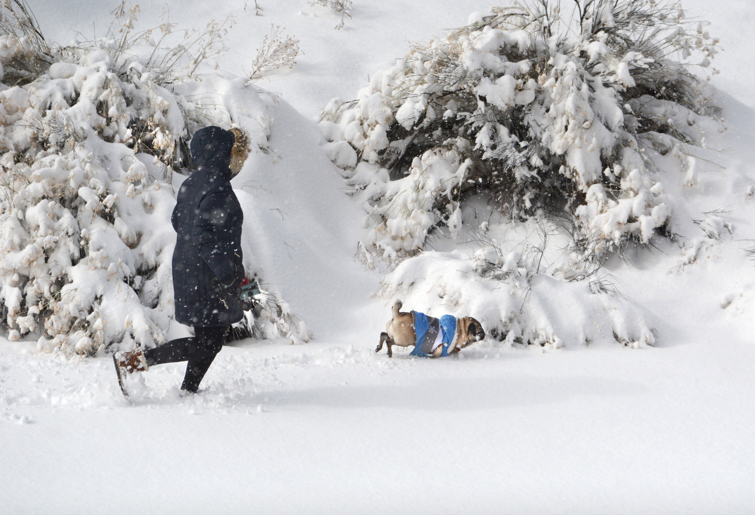 New Mexico Mountains to Get Up to 12 Inches of Snow
