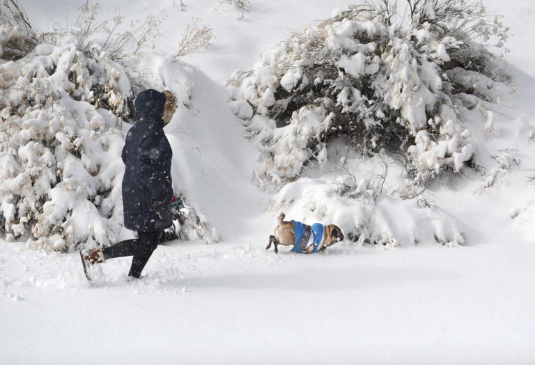 New Mexico Mountains to Get Up to 12 Inches of Snow
