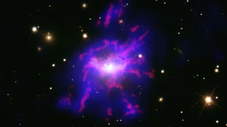 NASA X-ray telescope Chandra discovers black holes 'blow' on their food ...